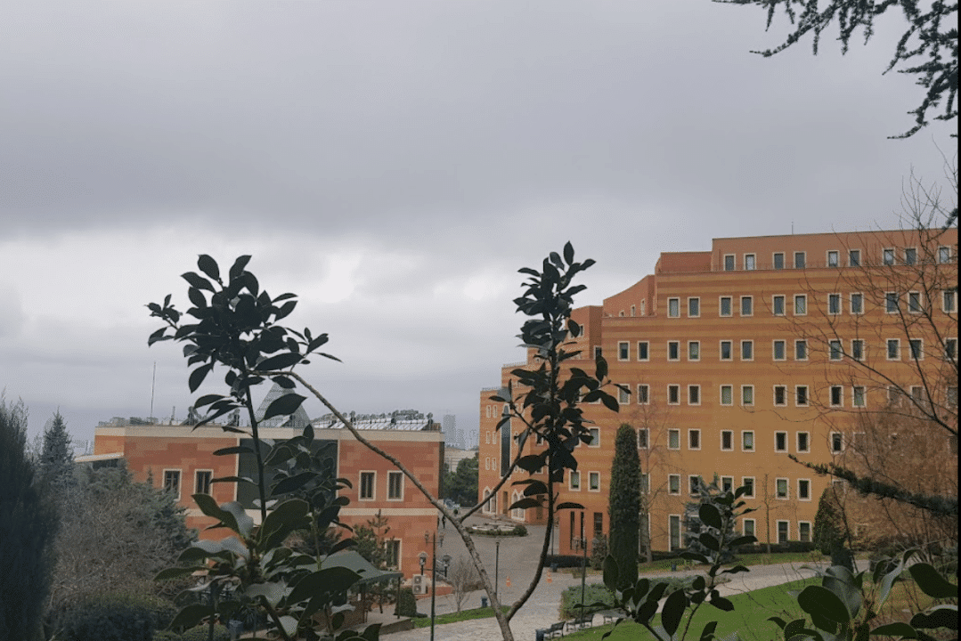 Yeditepe University