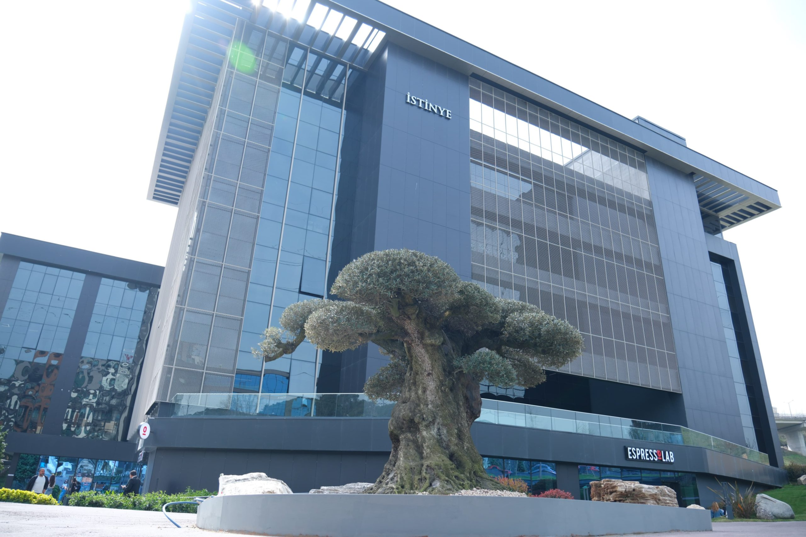 The admission requirements for Istinye University in Turkey
